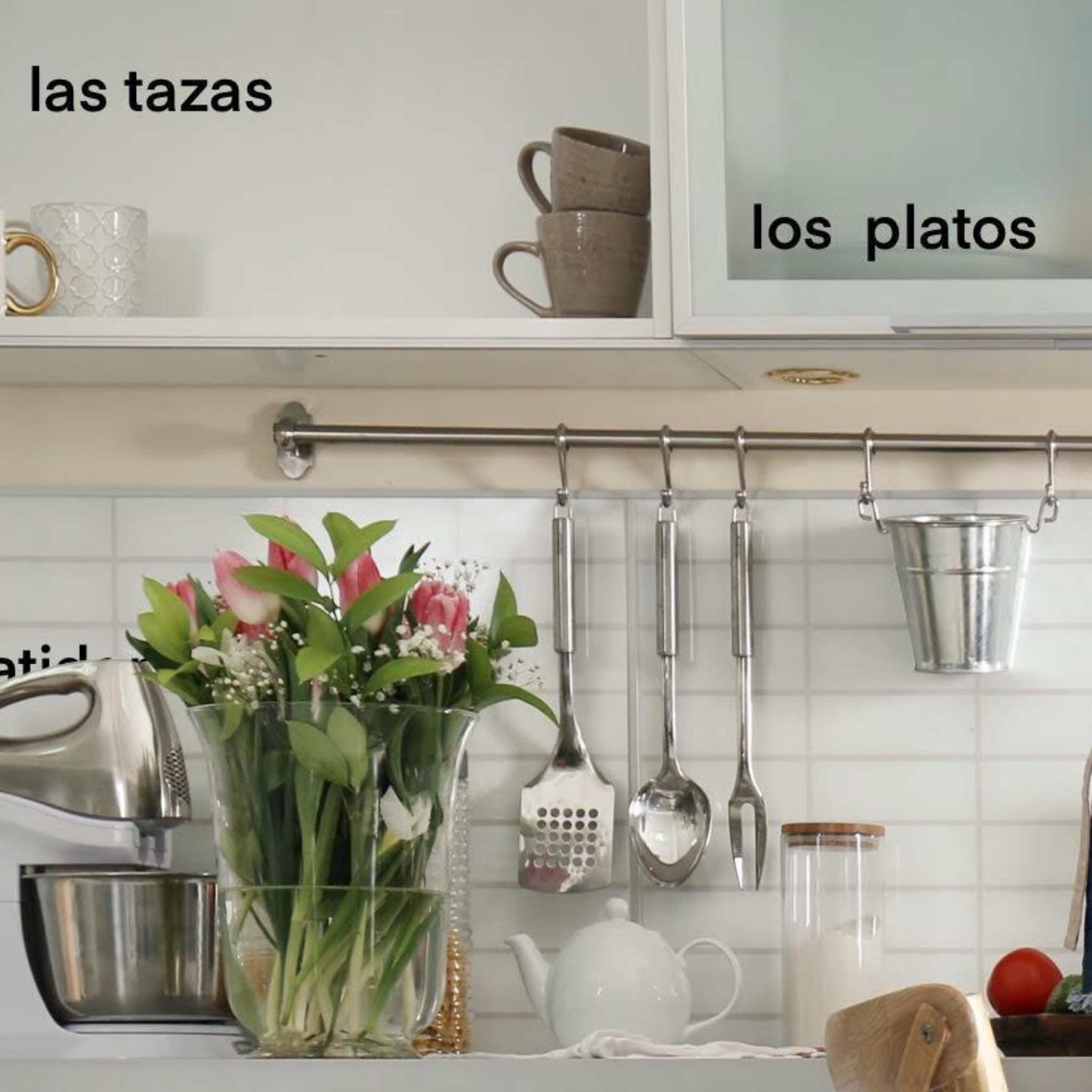 Spanish Labels for Kitchen – Lelu