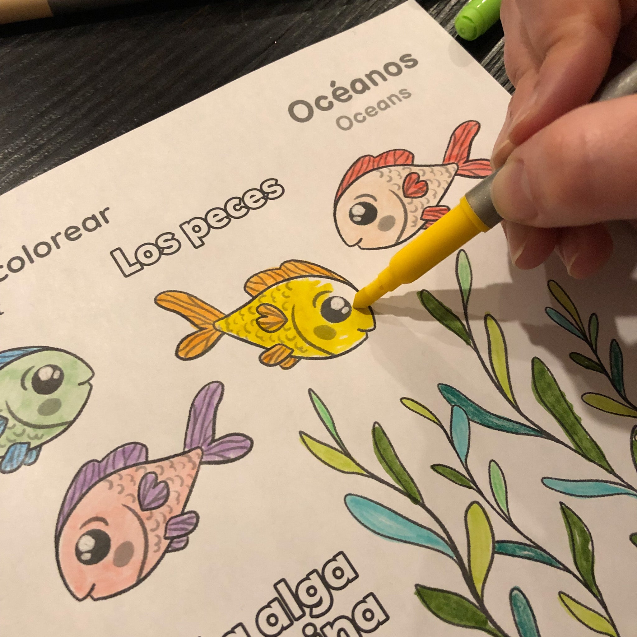 Océanos Coloring Sheets | Learn Spanish [Downloadable PDF Activity] – Lelu