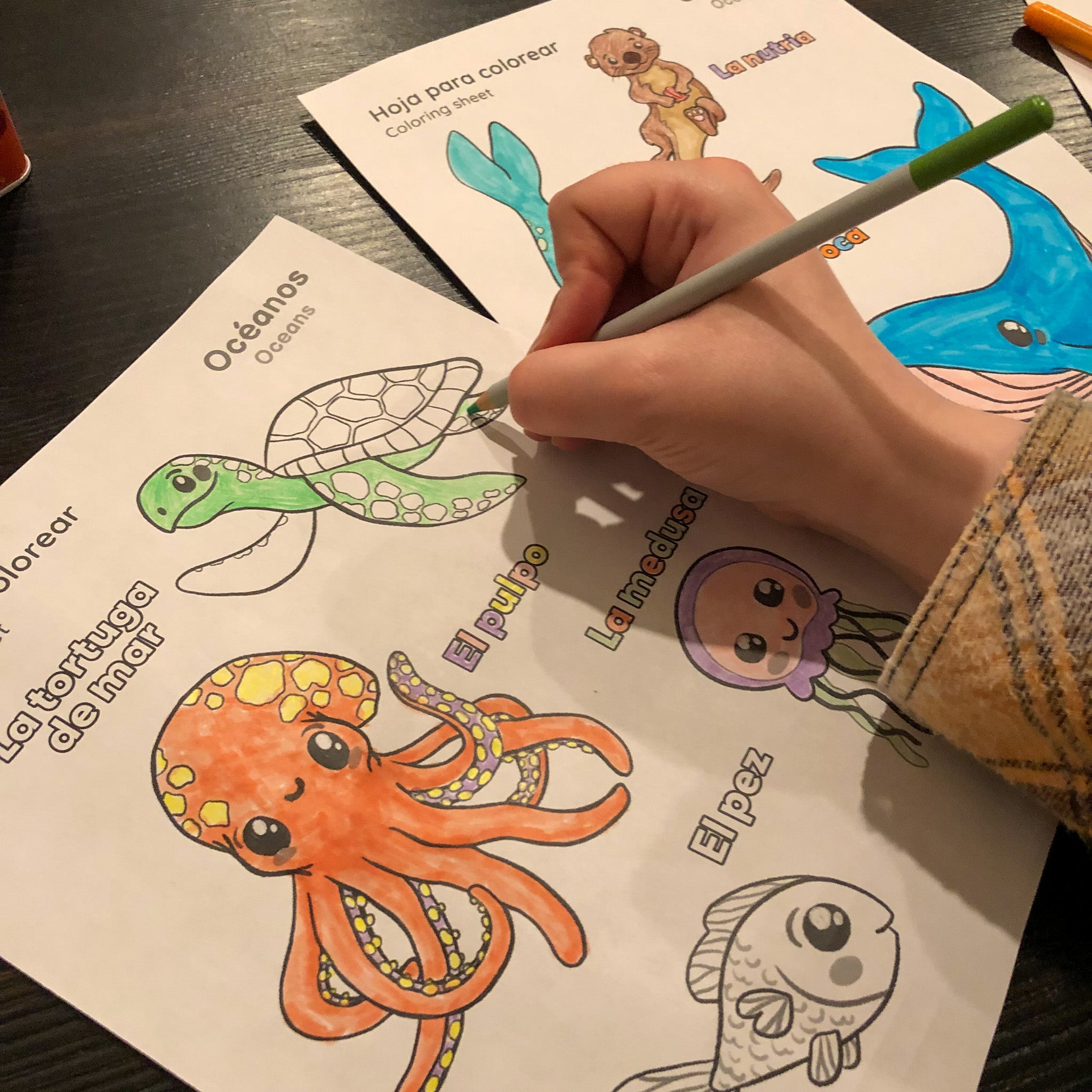Océanos Coloring Sheets | Learn Spanish [Downloadable PDF Activity] – Lelu