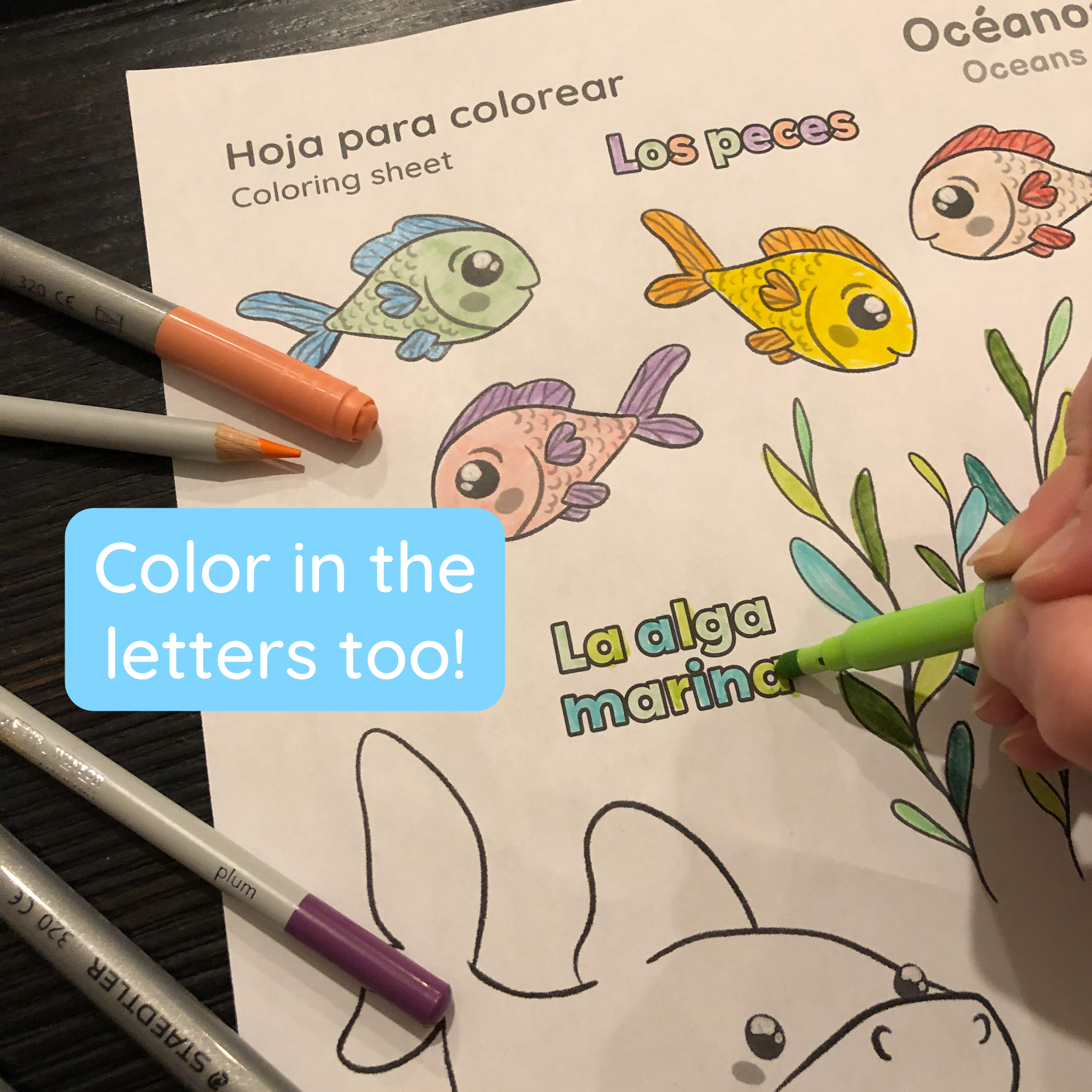 Océanos Coloring Sheets | Learn Spanish [Downloadable PDF Activity] – Lelu